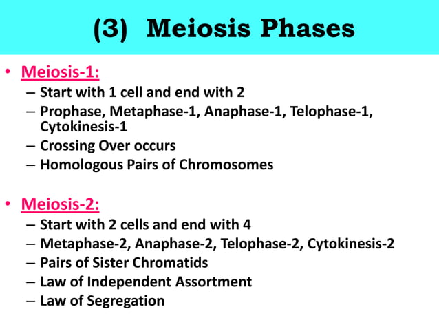 Biology unit 4 cell division meiosis notes | PPTX