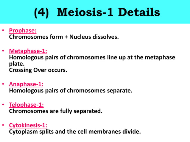 Biology unit 4 cell division meiosis notes | PPTX