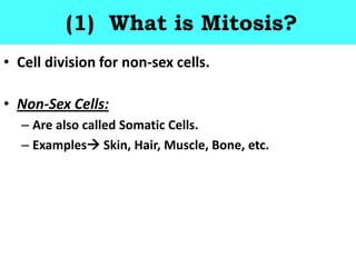Biology unit 4 cell division mitosis notes | PPT