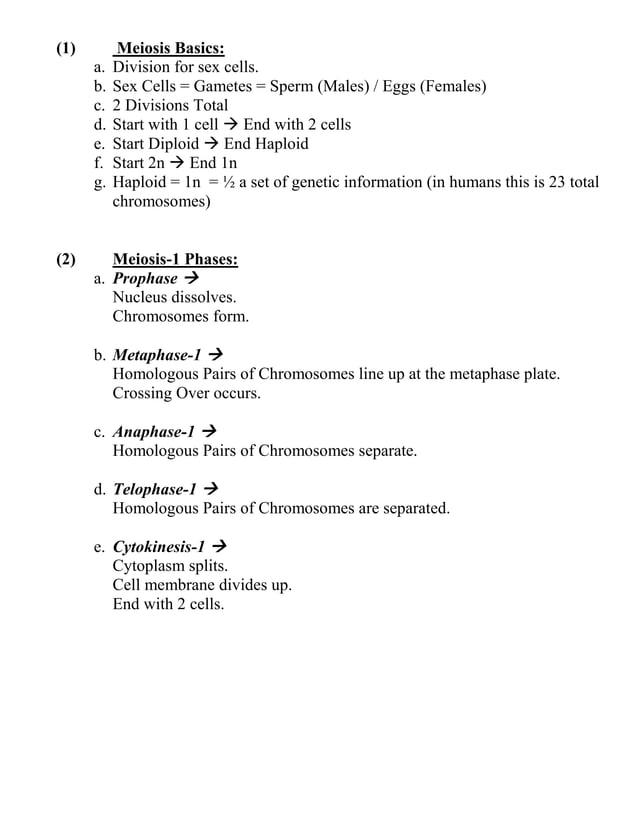 Biology unit 4 cell division quiz #2 everything you need to know | DOCX ...