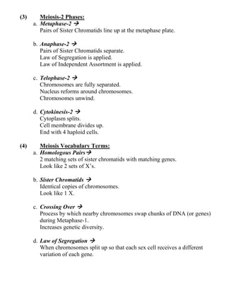 Biology unit 4 cell division quiz #2 everything you need to know | DOCX ...