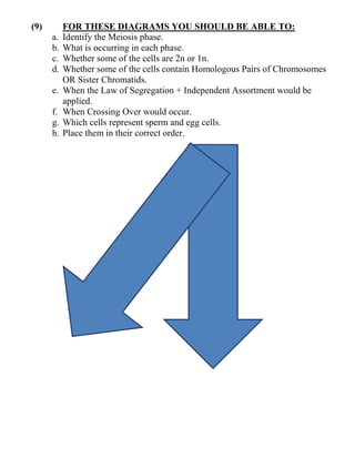 Biology unit 4 cell division quiz #2 everything you need to know | DOCX