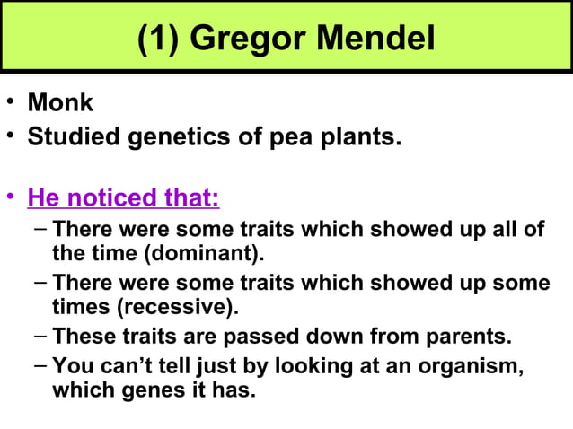 Biology unit 5 genetics mendelian genetics notes | PPT | Genetics | Science