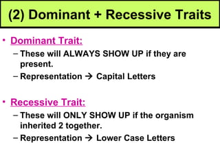 Biology unit 5 genetics mendelian genetics notes | PPT