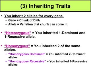 Biology unit 5 genetics mendelian genetics notes | PPT