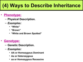 Biology unit 5 genetics mendelian genetics notes | PPT