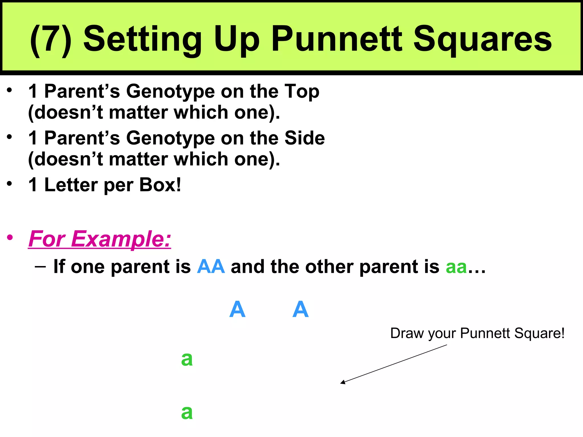 Biology Unit 5 Notes: Mendelian Genetics | PPT