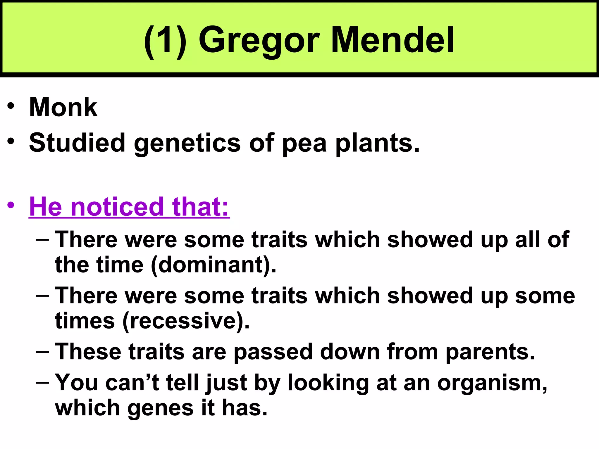 Biology Unit 5 Notes: Mendelian Genetics | PPT
