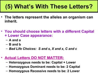 Biology Unit 5 Notes: Mendelian Genetics | PPT