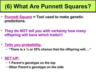 Biology Unit 5 Notes: Mendelian Genetics | PPT