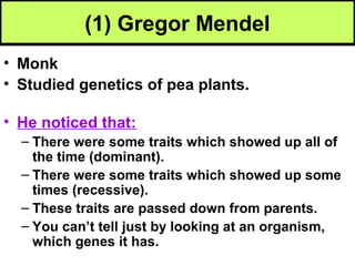 Biology Unit 5 Notes: Mendelian Genetics | PPT