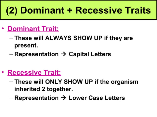 Biology Unit 5 Notes: Mendelian Genetics | PPT