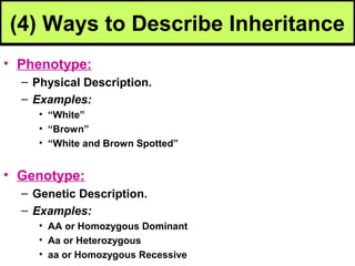 Biology Unit 5 Notes: Mendelian Genetics | PPT