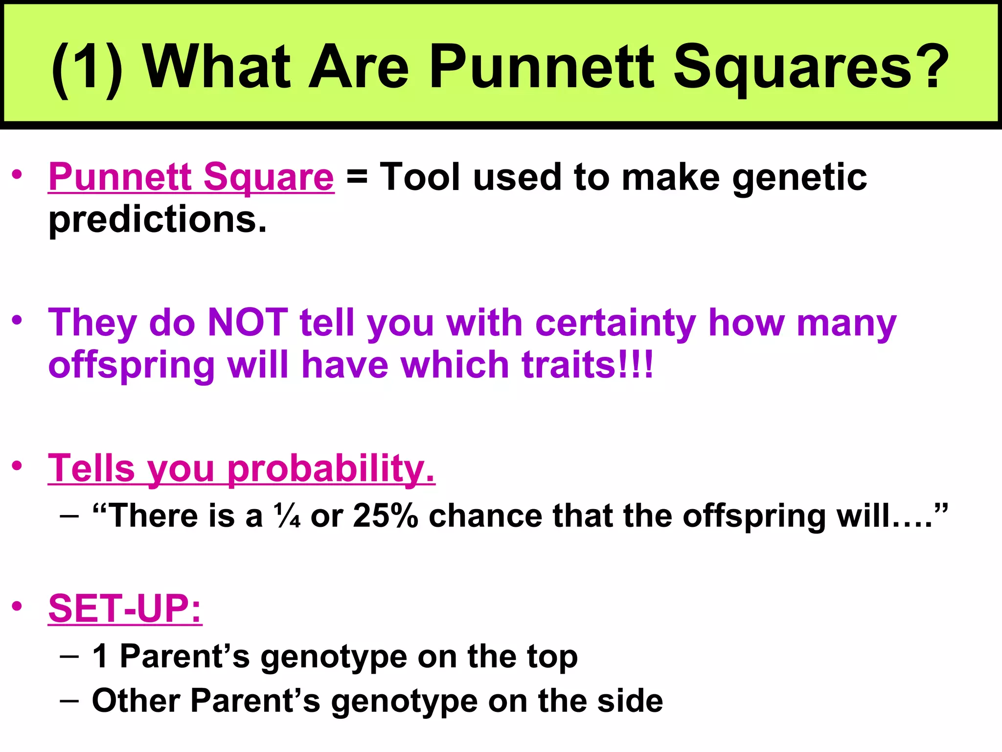 Biology unit 5 genetics punnett square notes | PPT