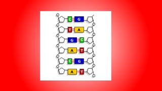 Biology Unit 6 Notes: DNA | PPTX