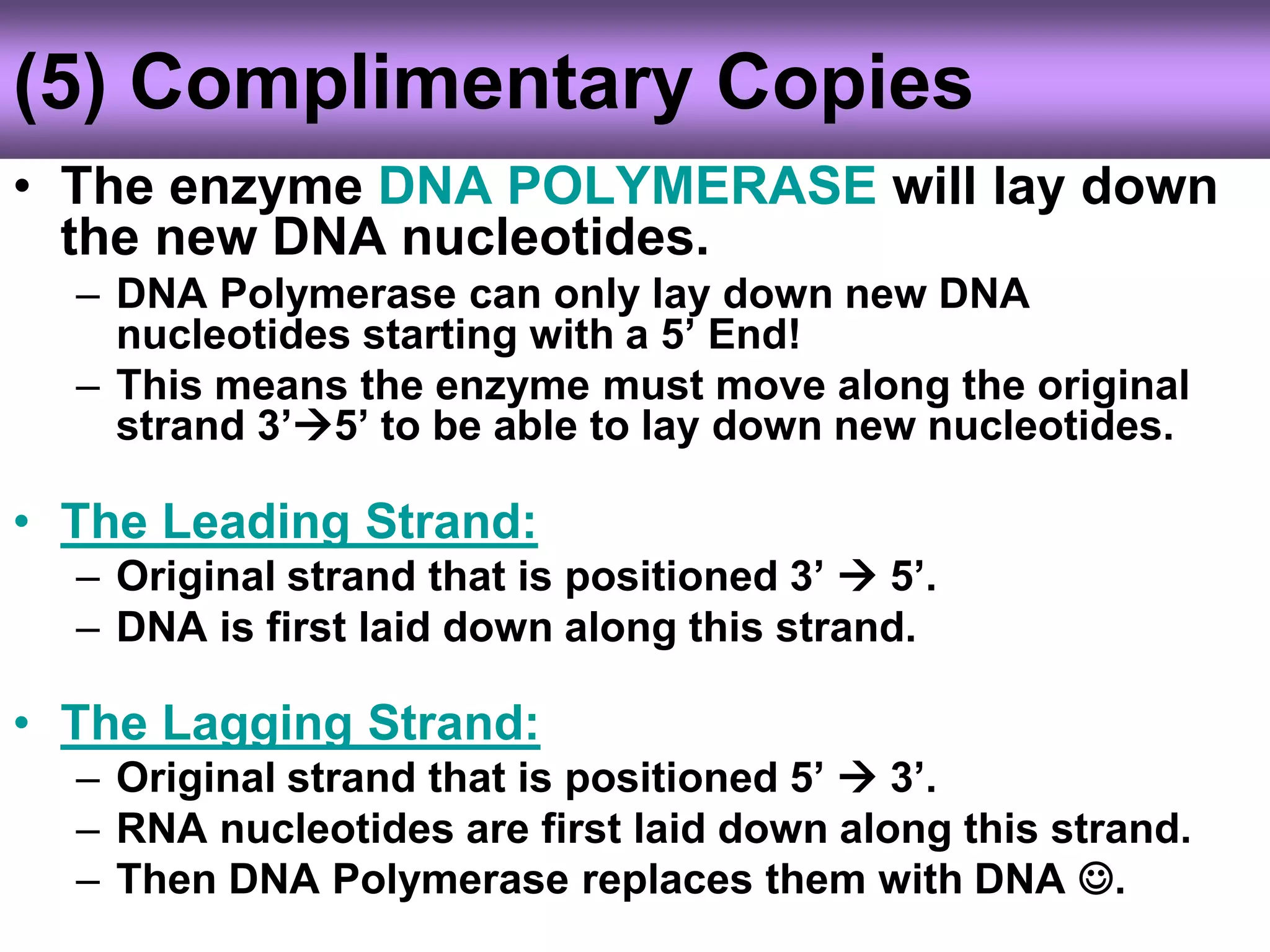 Biology unit 6 dna rna protein synthesis dna replication notes | PPT
