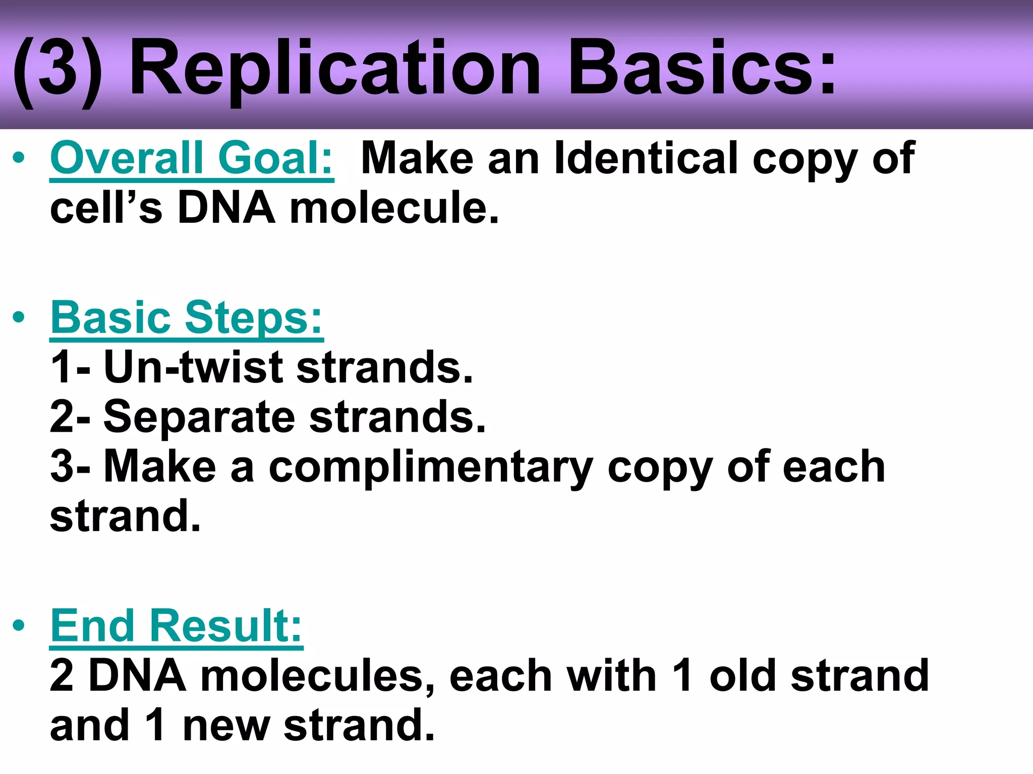 Biology unit 6 dna rna protein synthesis dna replication notes | PPT