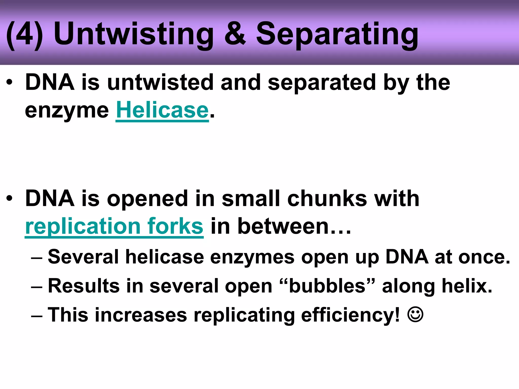 Biology unit 6 dna rna protein synthesis dna replication notes | PPT