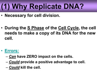 Biology unit 6 dna rna protein synthesis dna replication notes | PPT
