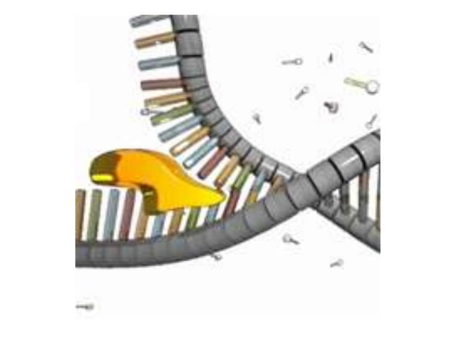 Biology unit 6 dna rna protein synthesis dna replication notes | PPT