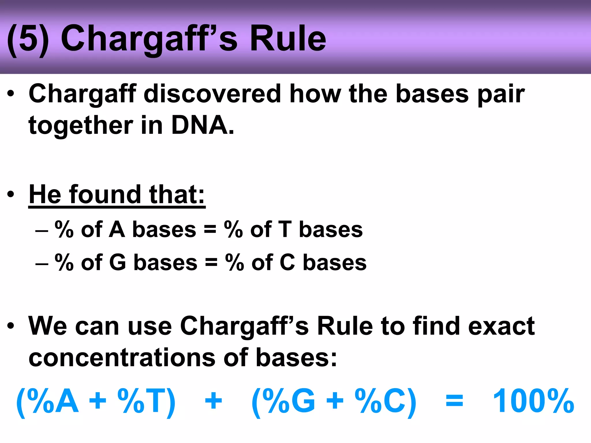 Biology unit 6 dna rna protein synthesis dna structure notes | PPT