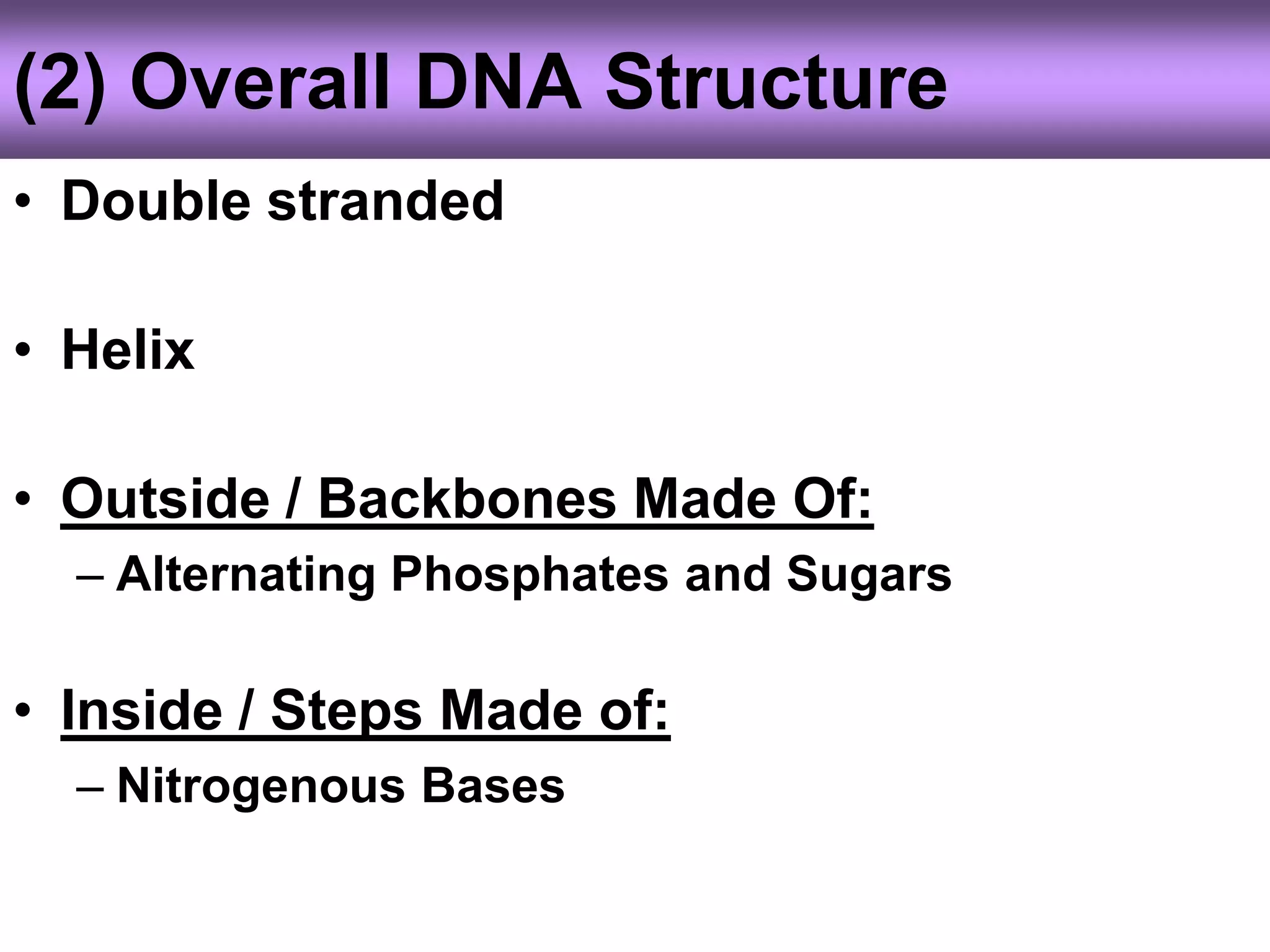 Biology unit 6 dna rna protein synthesis dna structure notes | PPT