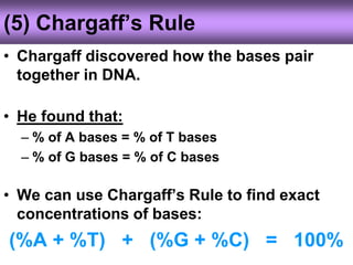 Biology unit 6 dna rna protein synthesis dna structure notes | PPT