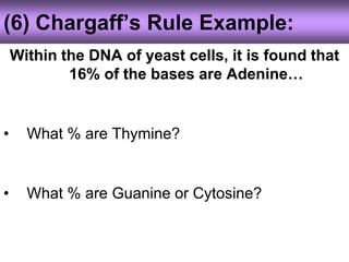 Biology unit 6 dna rna protein synthesis dna structure notes | PPT