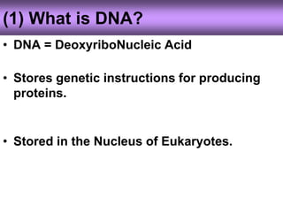 Biology unit 6 dna rna protein synthesis dna structure notes | PPT
