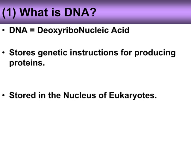 Biology unit 6 dna rna protein synthesis dna structure notes | PPT