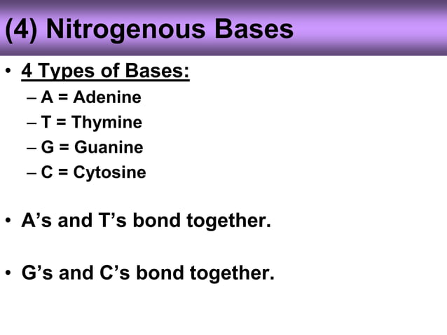 Biology unit 6 dna rna protein synthesis dna structure notes | PPT