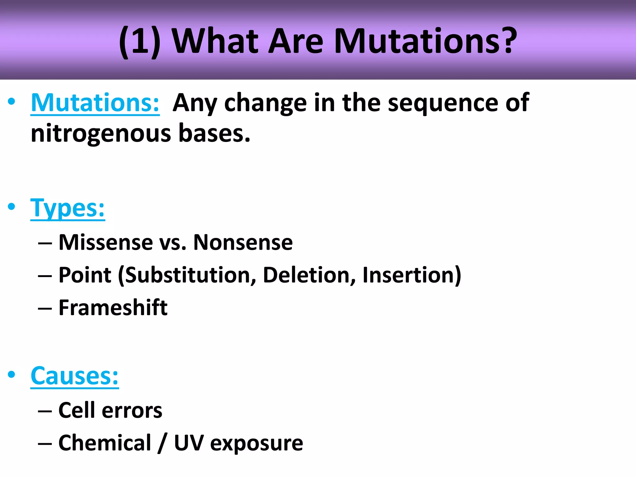 Biology unit 6 dna rna protein synthesis mutation notes | PPT