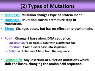 Biology unit 6 dna rna protein synthesis mutation notes | PPTX