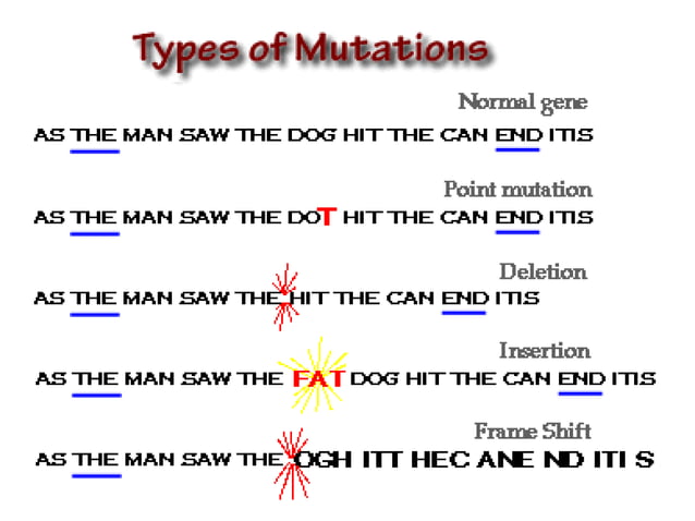 Biology unit 6 dna rna protein synthesis mutation notes | PPT