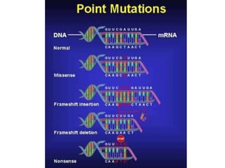 Biology unit 6 dna rna protein synthesis mutation notes | PPT