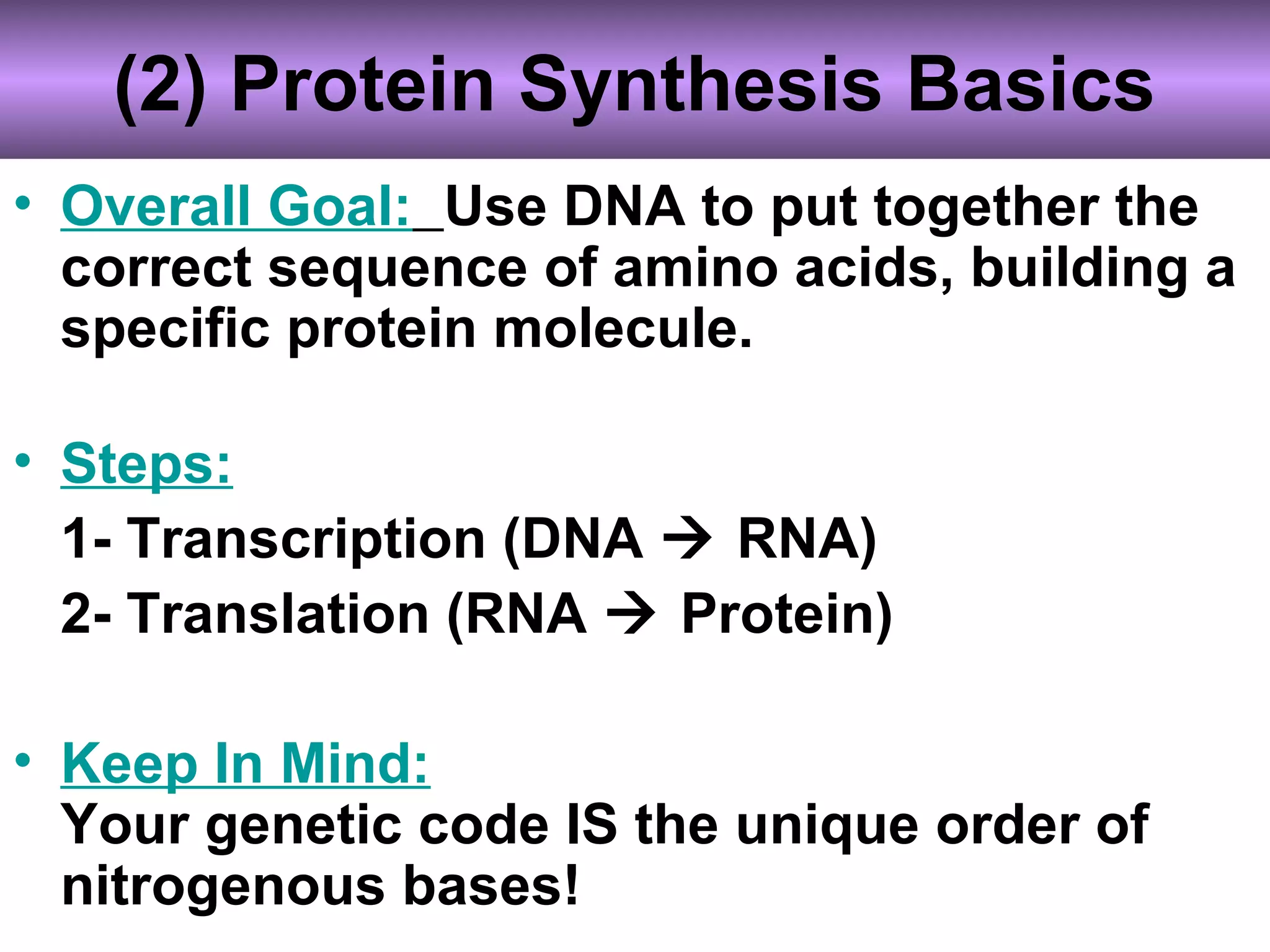 Biology unit 6 dna rna protein synthesis protein synthesis notes | PPT ...