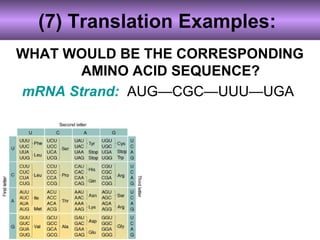 Biology unit 6 dna rna protein synthesis protein synthesis notes | PPT