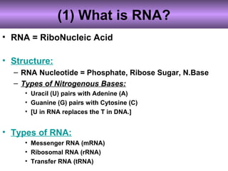 Biology unit 6 dna rna protein synthesis protein synthesis notes | PPT