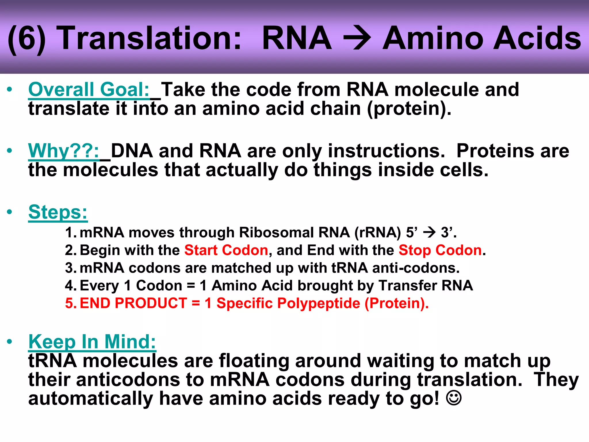 Biology unit 6 dna rna protein synthesis protein synthesis notes | PPT