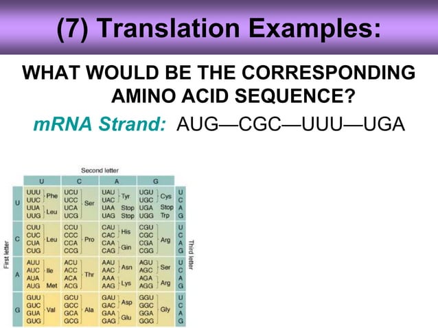 Biology unit 6 dna rna protein synthesis protein synthesis notes | PPT