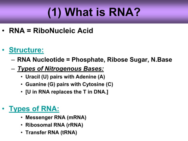 Biology unit 6 dna rna protein synthesis protein synthesis notes | PPT