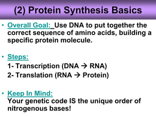 Biology unit 6 dna rna protein synthesis protein synthesis notes | PPT