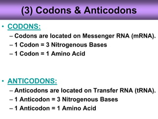 Biology unit 6 dna rna protein synthesis protein synthesis notes | PPT