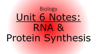 Biology Unit 6 Notes: RNA & Protein Synthesis | PPT