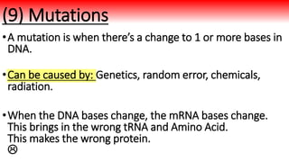 Biology Unit 6 Notes: RNA & Protein Synthesis | PPTX