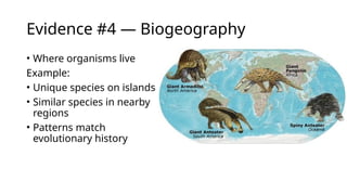 Biology Unit 6 Presentation evolution.pptx