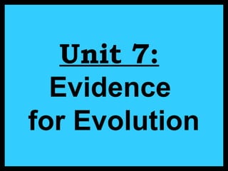 Biology Unit 7 Notes: Evidence for Evolution & Phylogenetic Trees | PPT