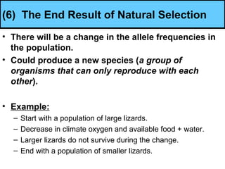 Biology unit 7 evolution intro to evolution and natural selection notes ...