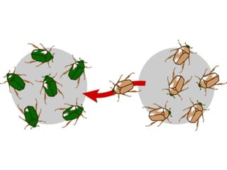 Biology unit 7 evolution intro to evolution and natural selection notes ...