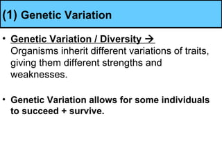 Biology Unit 7 Notes: Evolution & Natural Selection | PPT